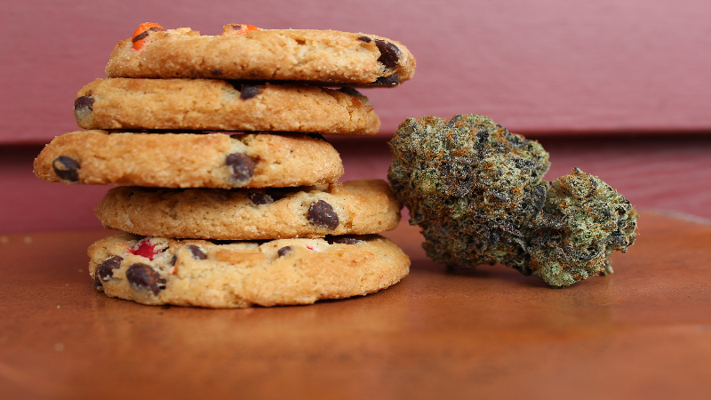 Exploring NYC Edibles: A Guide to Unique Culinary Treats - Your Article Hub